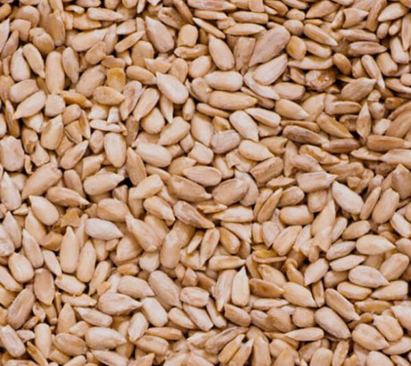 PIPAS PELADAS FRITAS 1 KG – Frutos Secos Glomar